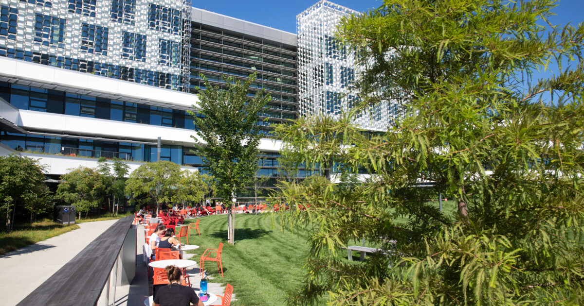 How We Lead - Harvard Office for Sustainability