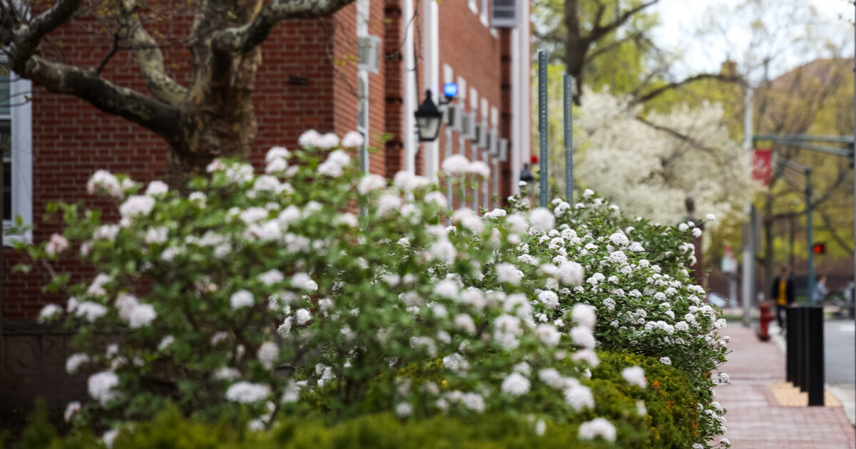 HGSE Green Team Meeting - Harvard Office for Sustainability