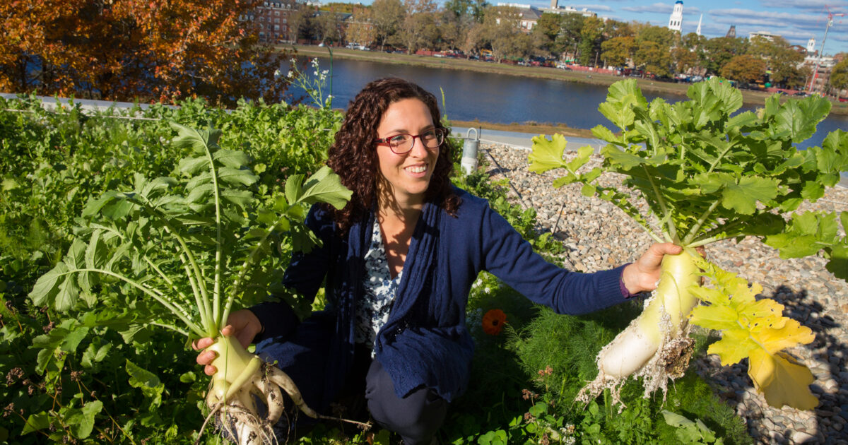 Connect with Sustainability at Harvard - Harvard Office for Sustainability